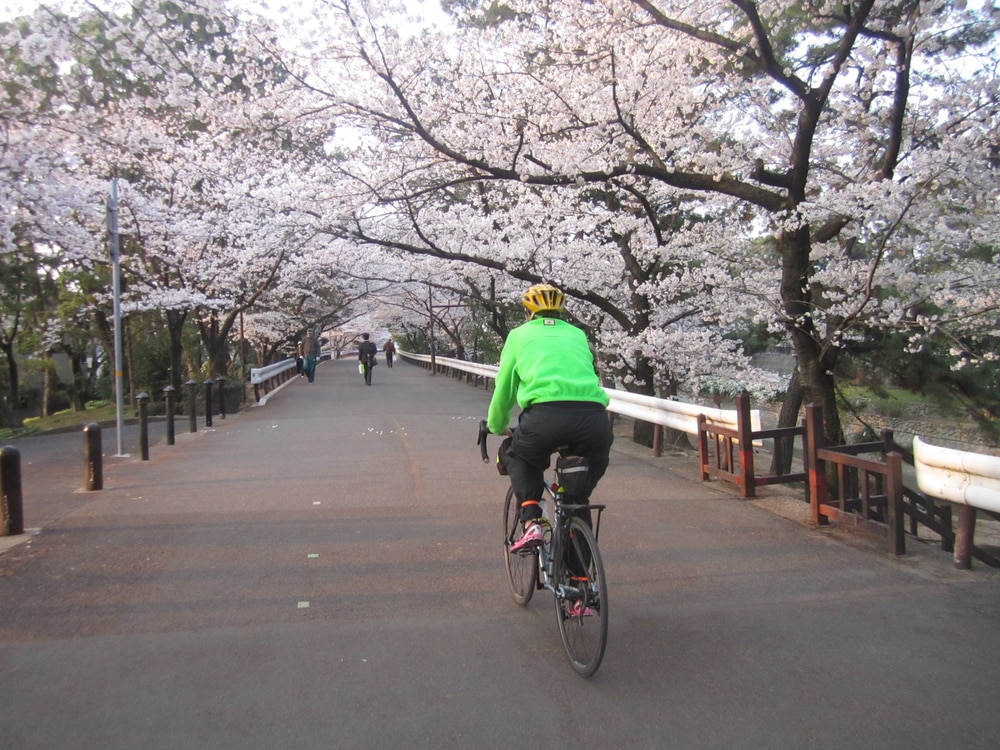 Japan City Hopping - Bike Tour Finder